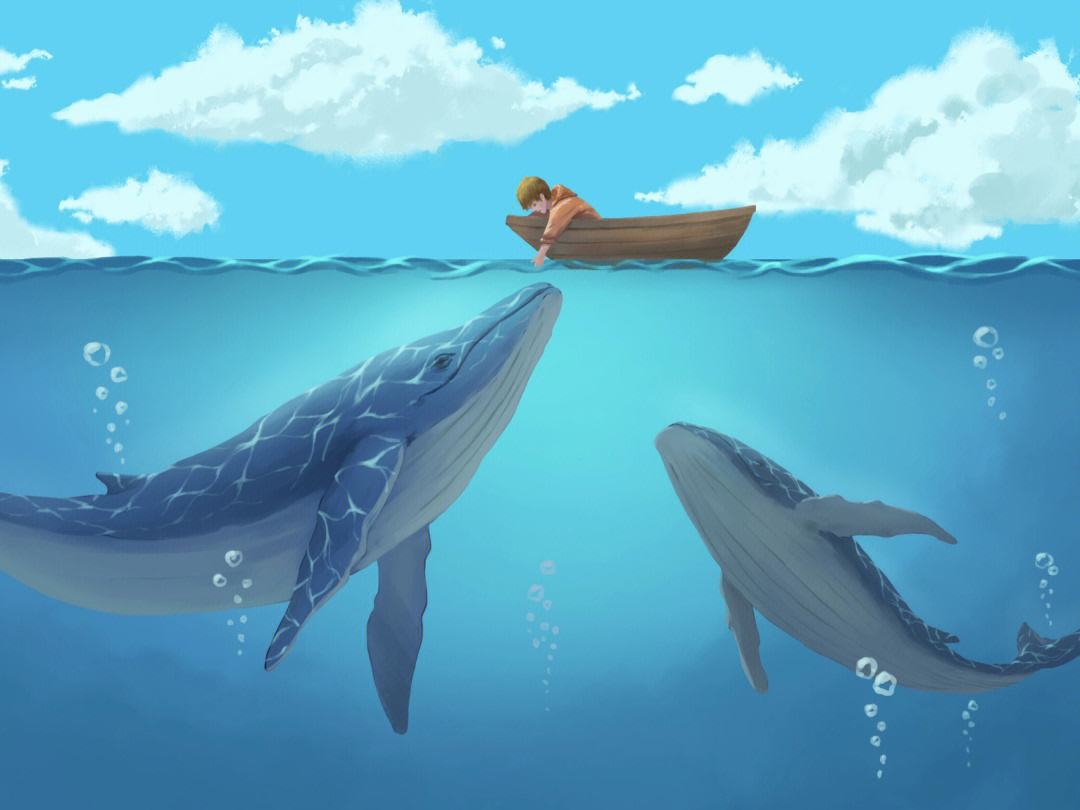 Why do whales spray water? - iNEWS