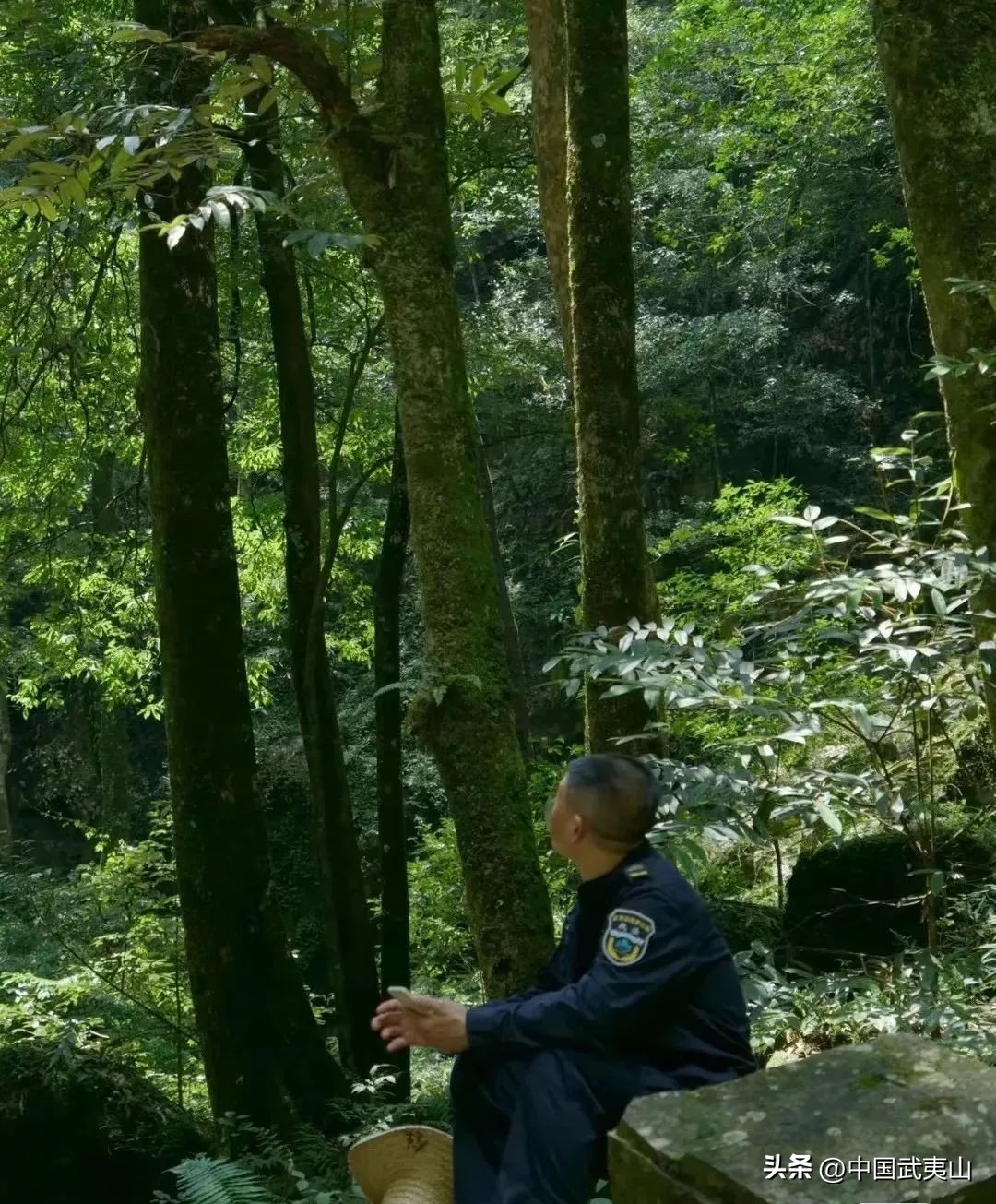 National park rangers follow Xiaohongshu to explore Wuyishan National ...