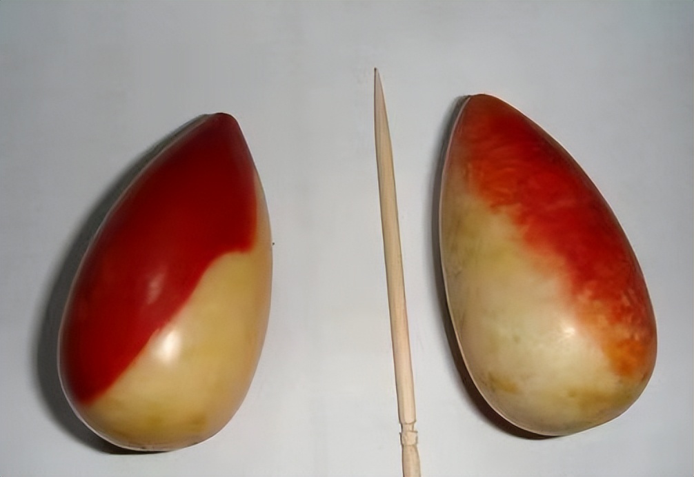 Appreciation of butt plug gems - iNEWS