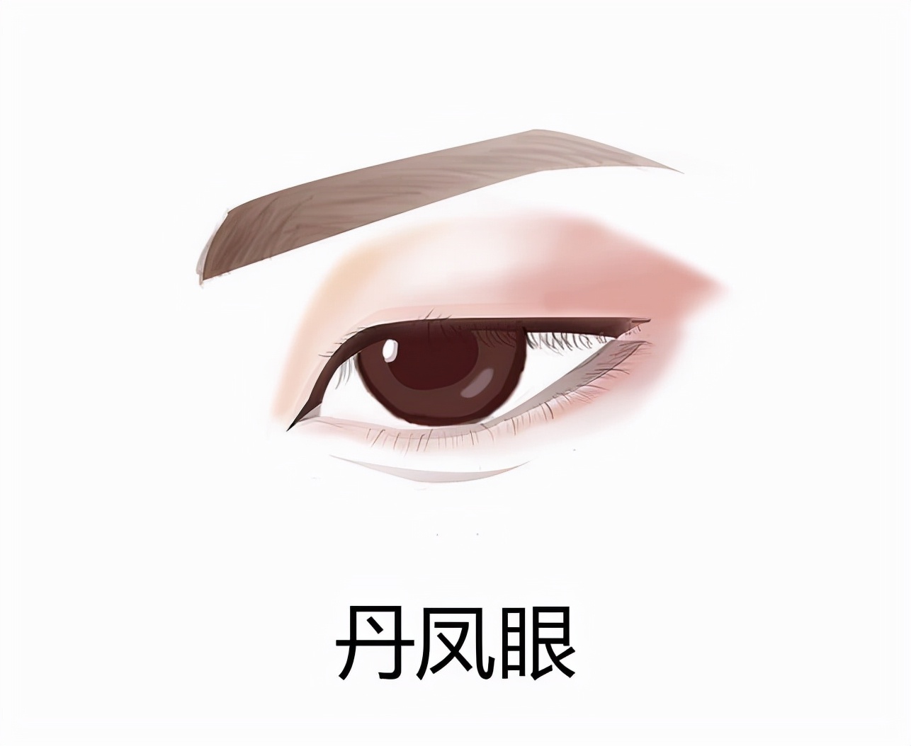 10 common eye shapes in China, which one are you? - iMedia
