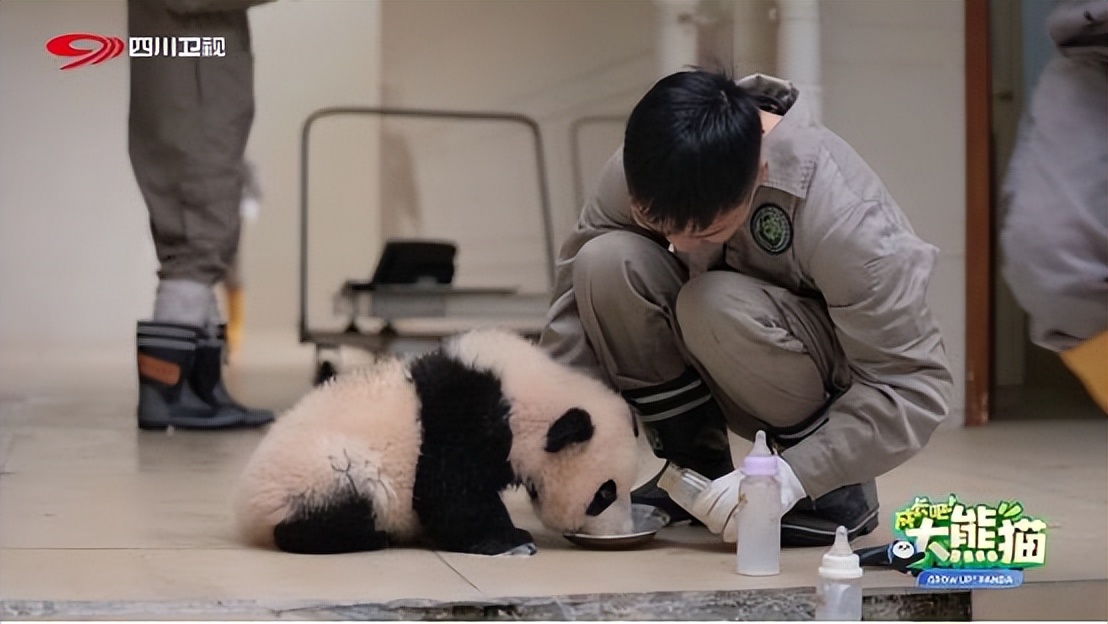 A successful conclusion!Have you caught up with this variety show that ...