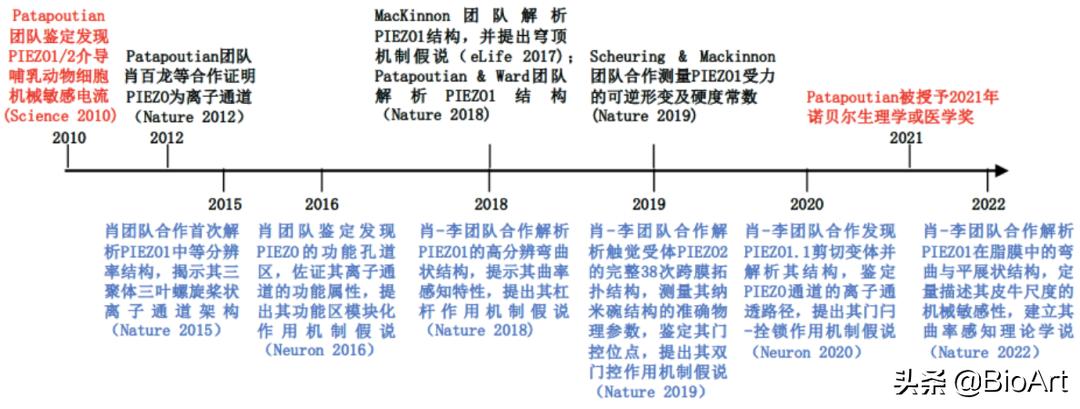 Open with force: Xiao Bailong/Li Xueming collaborate to reveal how ...