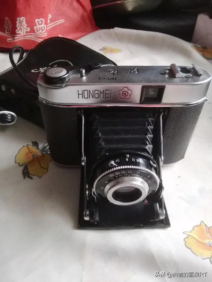 vintage red plum camera - iMedia