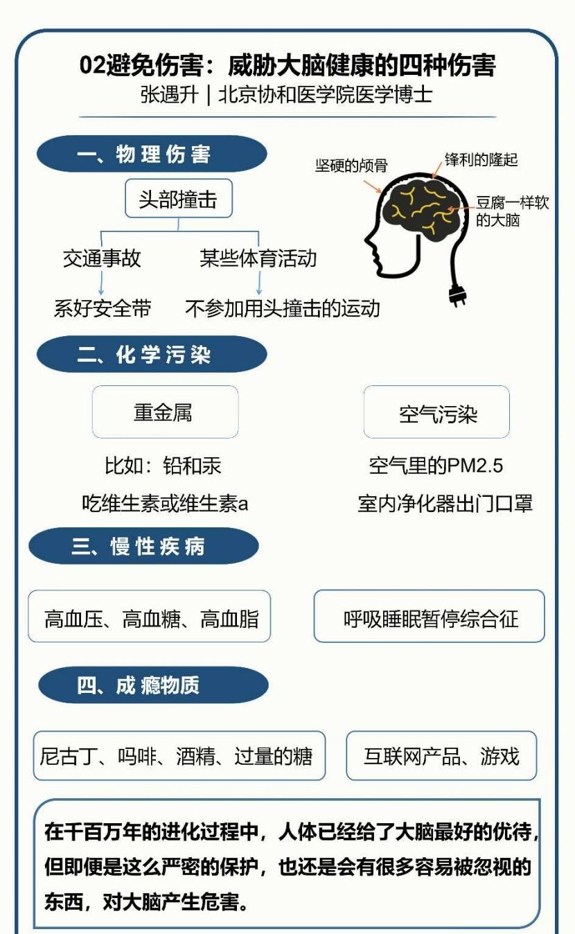 12 truths that are good for the brain and make the brain work better ...