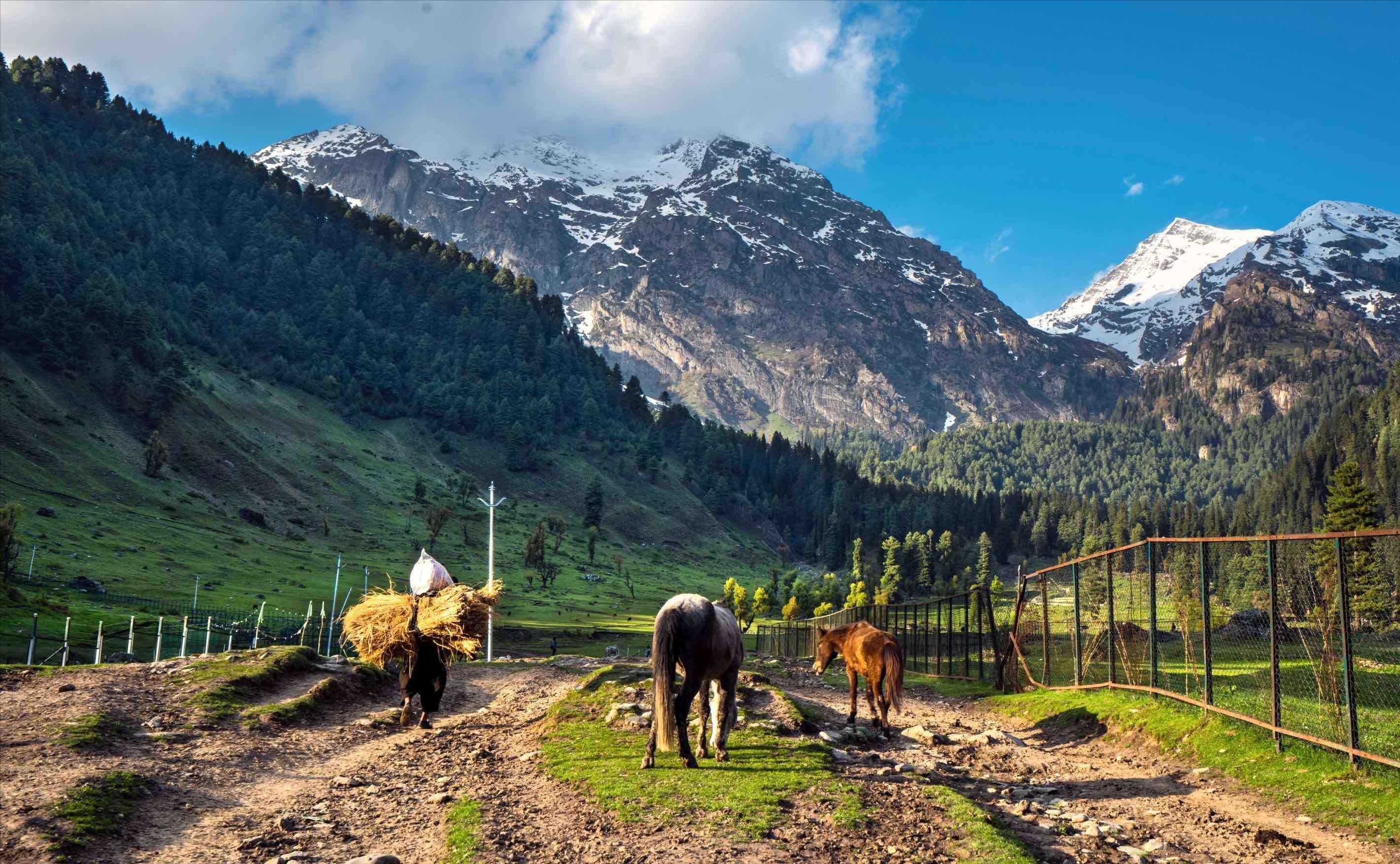 Kashmir History and Background - iNEWS