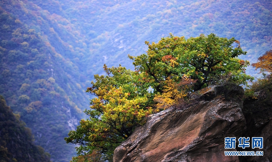 Chongxin: Picturesque Mountains - iNEWS
