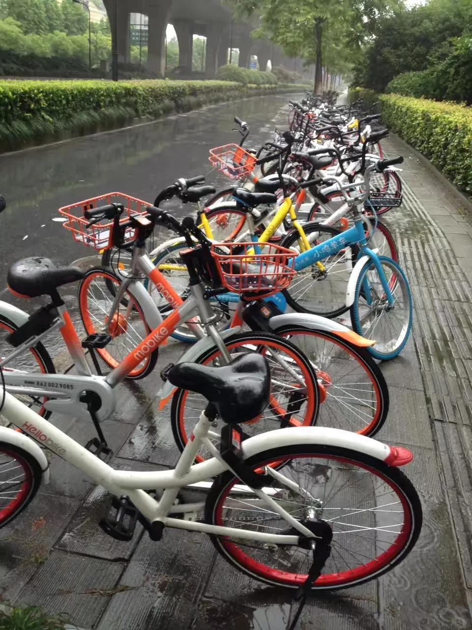 those shared bikes - iNEWS