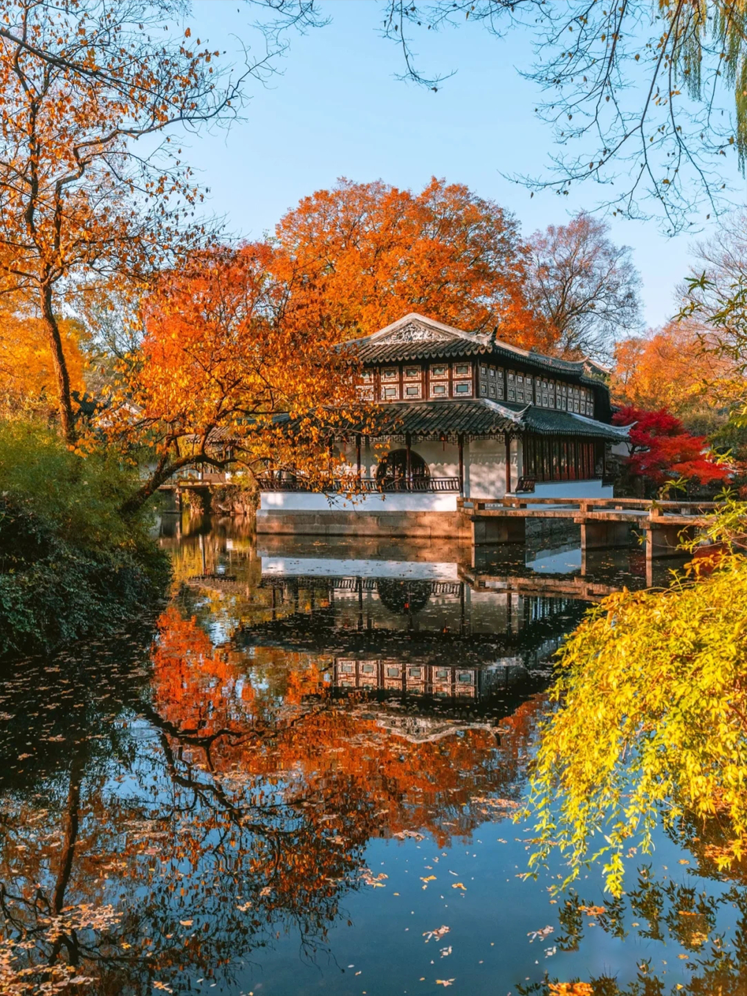 Enjoying the maple leaves in autumn, how beautiful is Suzhou, which ...