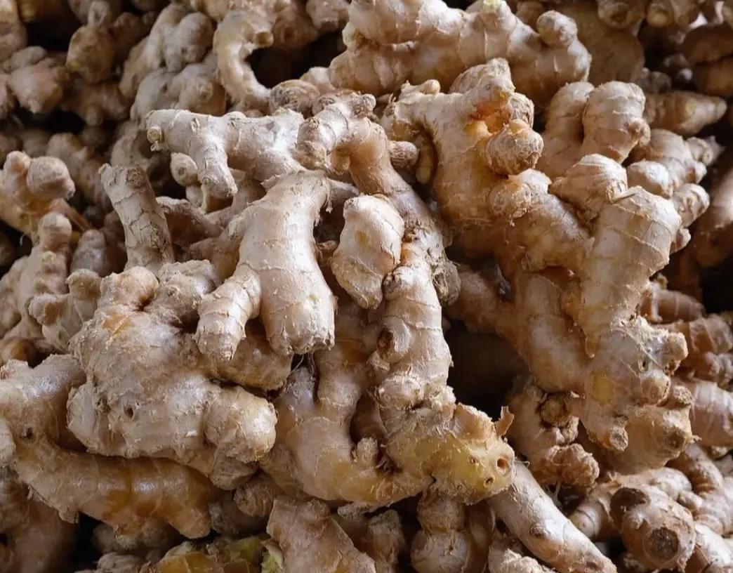 Cooking skills and taste matching of turmeric - iNEWS