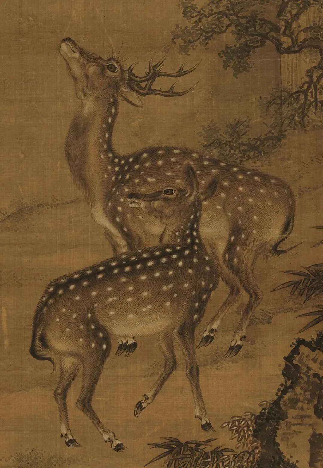 "Two Deers" by Shen Quan of the Qing Dynasty - iNEWS