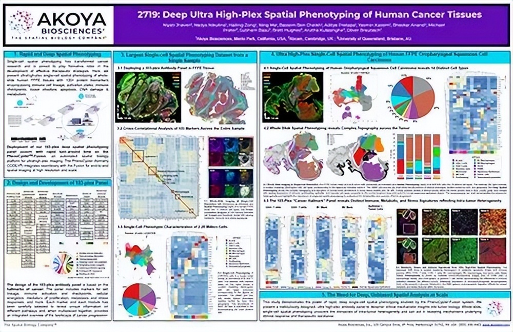 Single-cell spatial in situ detection of 100+ markers, Akoya ...