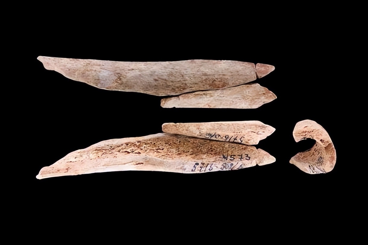 Finnish study shows human bones were used to make jewellery in 6000 BC ...