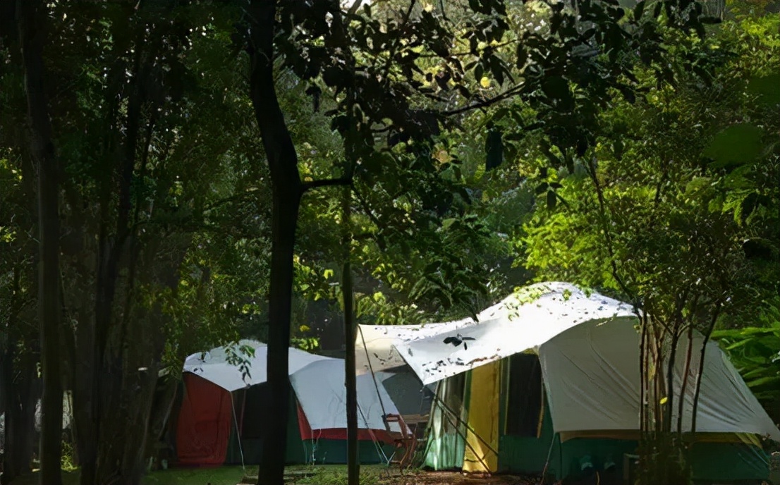 Food bar: Thailand's largest livestock farm: Chock Chai Farm - iNEWS