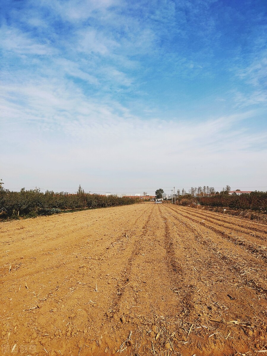 Why is the Yellow Emperor named after the Yellow Emperor? - iNEWS