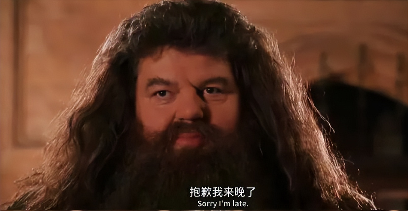Hagrid, who has always guarded Hogwarts, has returned to his magical ...