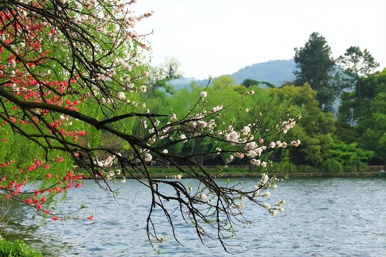 15 Classic Poems by Zhang Yan - iNEWS