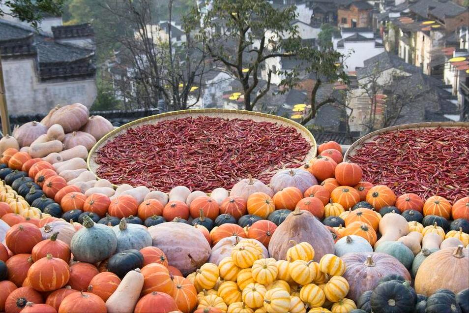 "June and autumn drive dead cattle, July autumn is leisurely", this ...