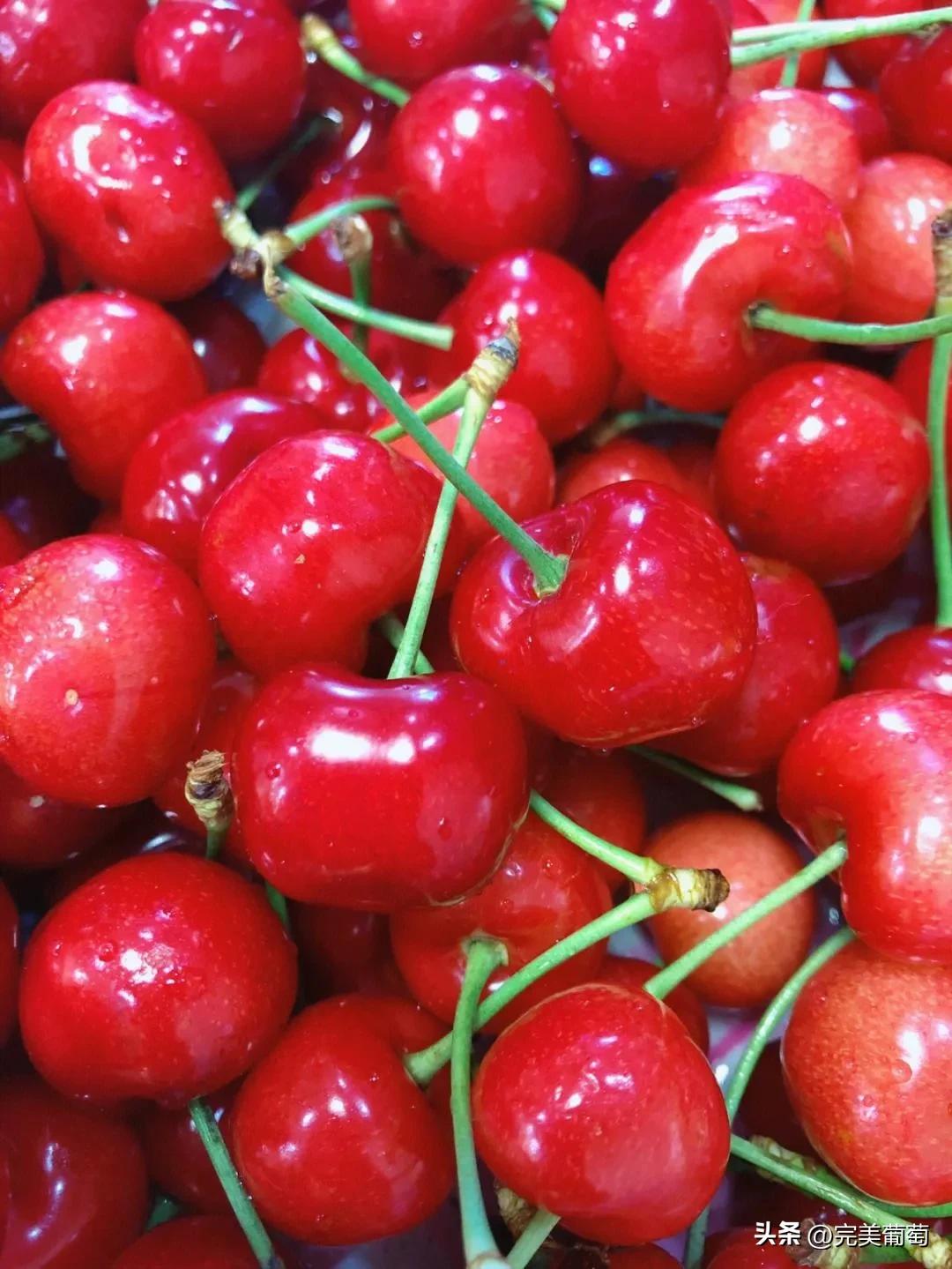 Never eat cherries on an empty stomach - iNEWS