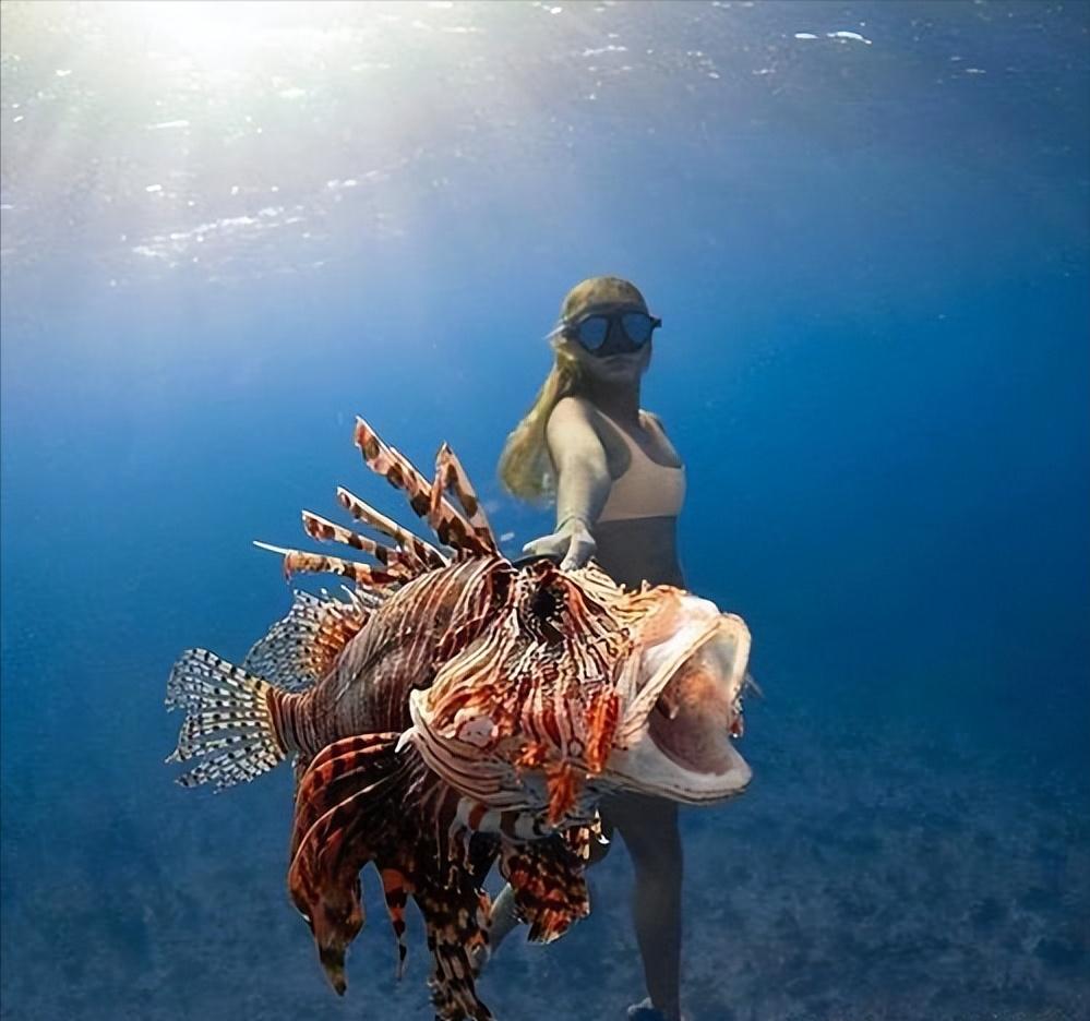 5 Amazing Sea Creatures Discovered by Fishermen - iNEWS
