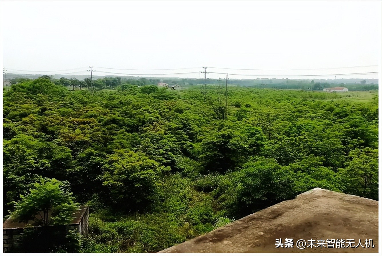 UAV forest management and inspection system - iNEWS