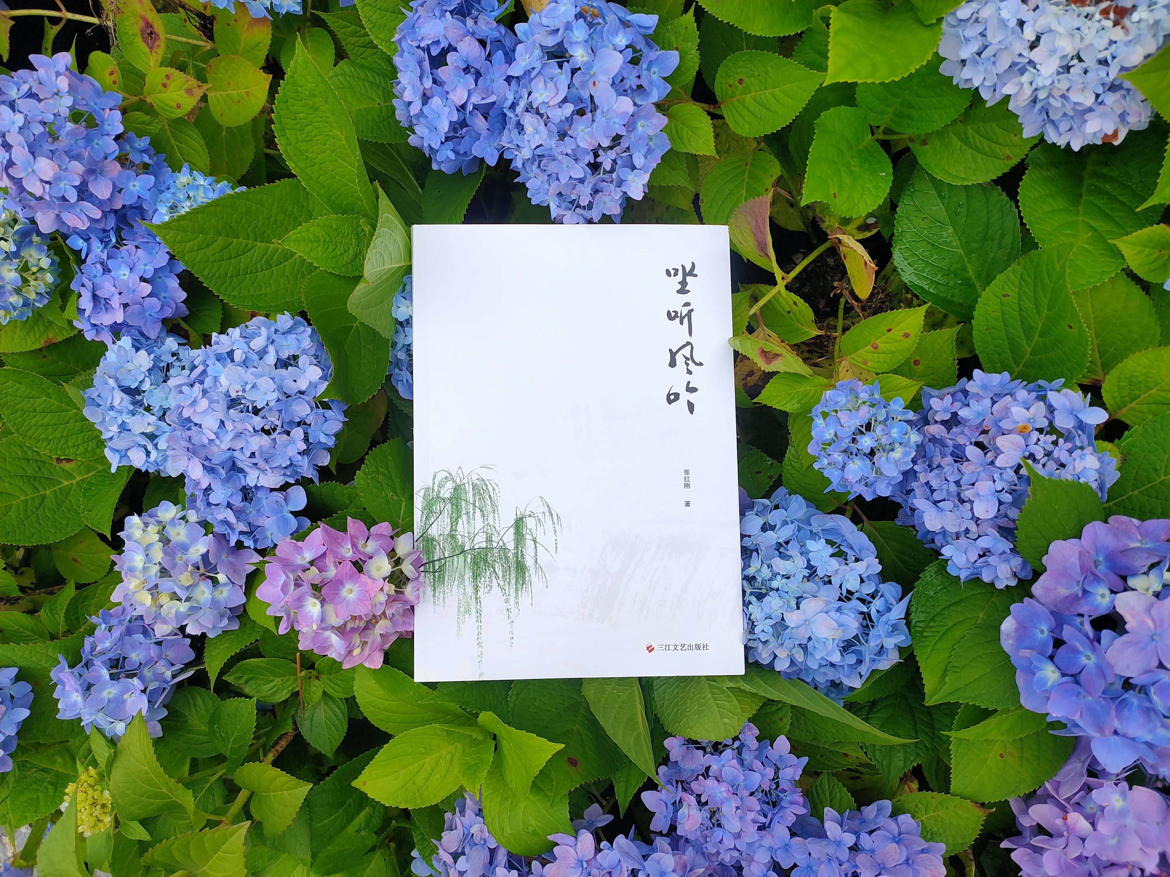 Jia Luhui: Sit and listen to the wind and sing in the prosperous world ...