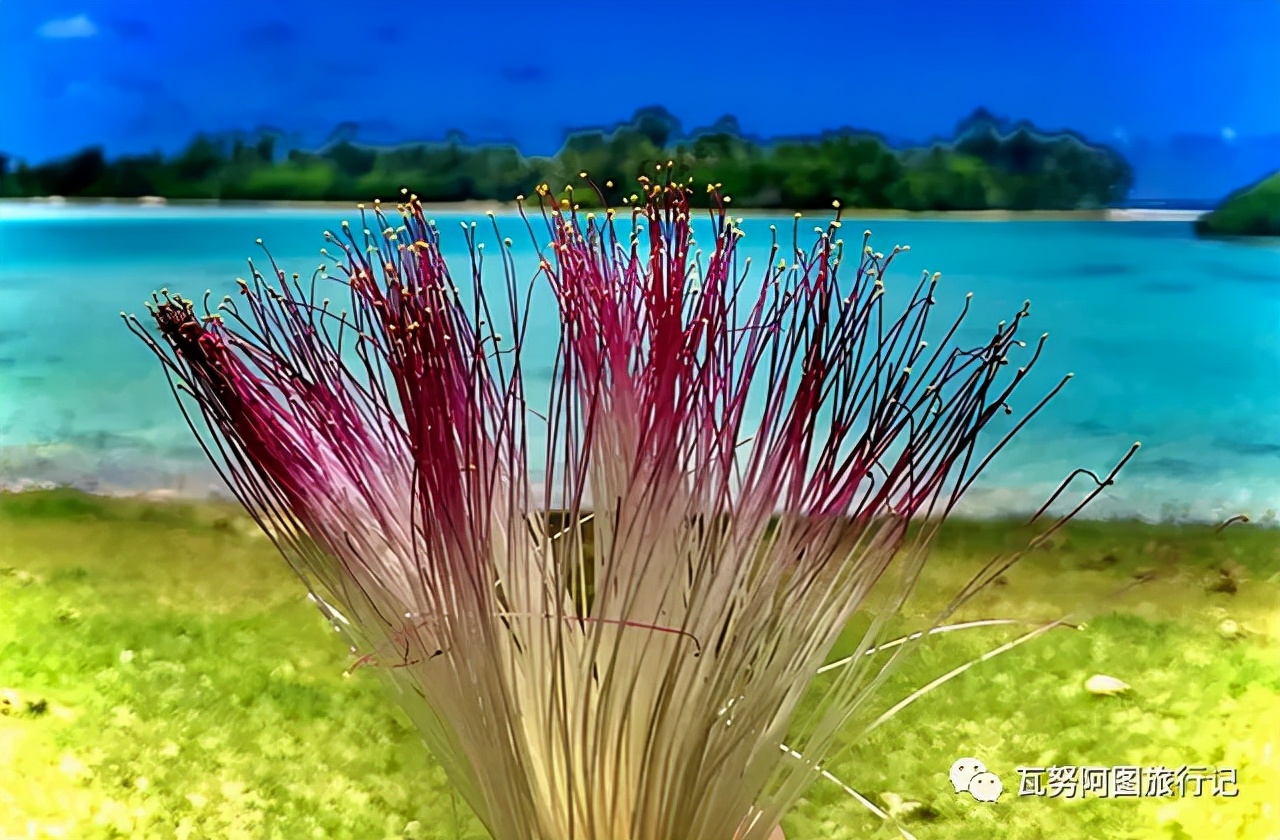 Bislama: the national language of Vanuatu - iNEWS