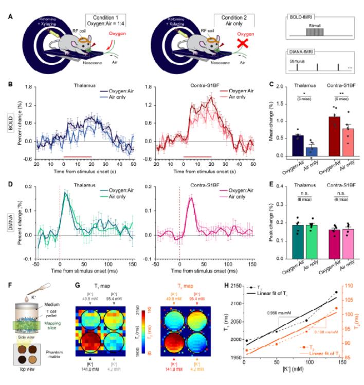 Neuroimaging ushered in reform, South Korean scientists achieved direct ...
