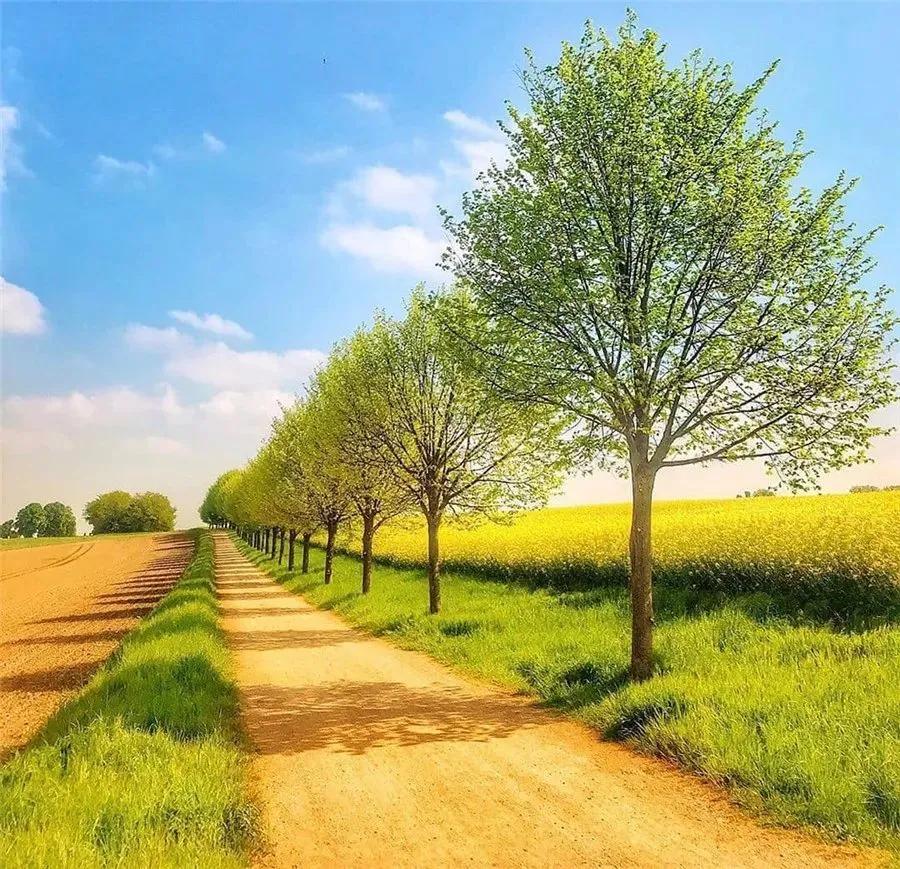 Share the beautiful scenery of foreign countries - iNEWS