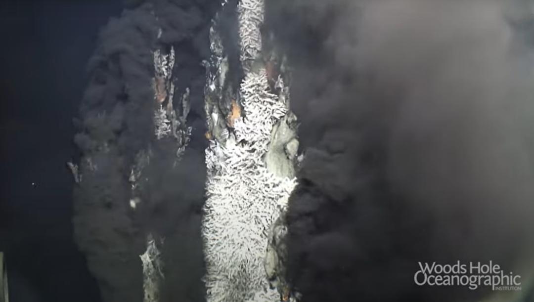 How can the shrimp that survive in the 450 ℃ crater be cooked? - iNEWS
