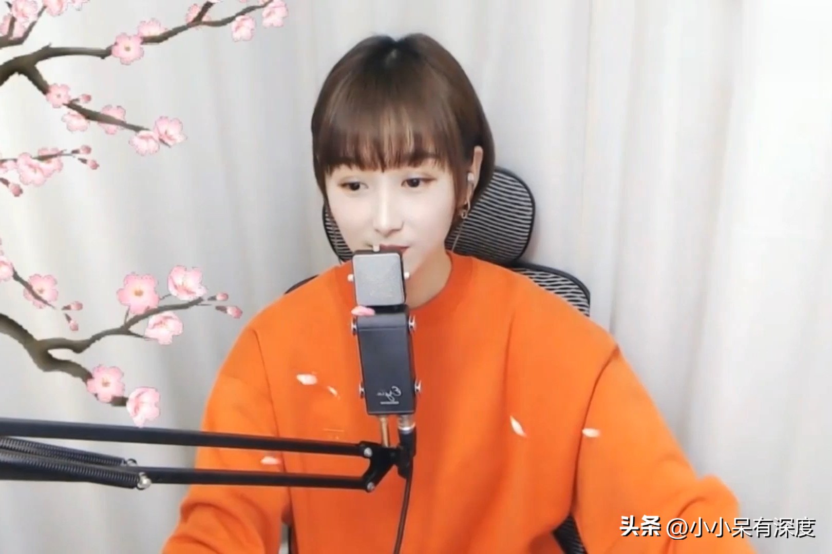 Liang Hong, can be regarded as the leader of Internet celebrity female ...