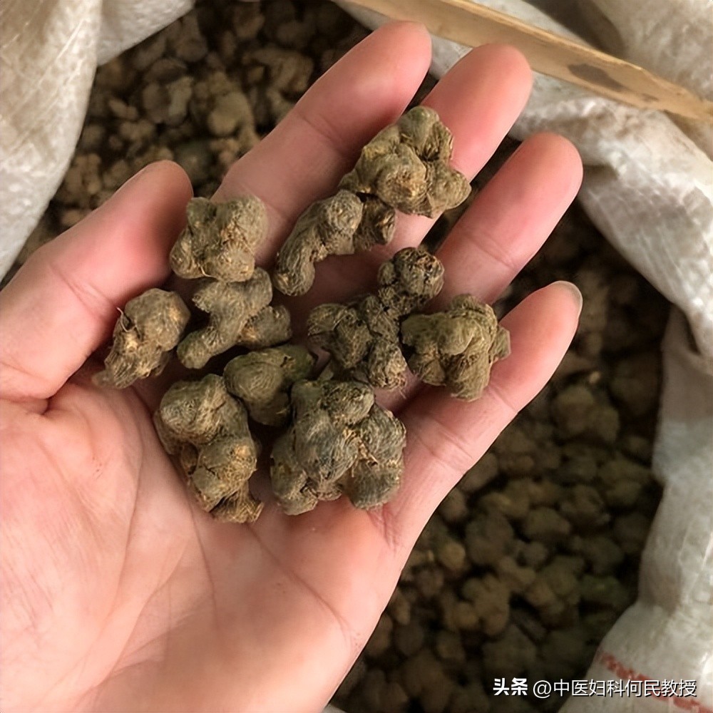 The Shaofu Zhuyu Decoction with "seeds into the mind" can solve the ...