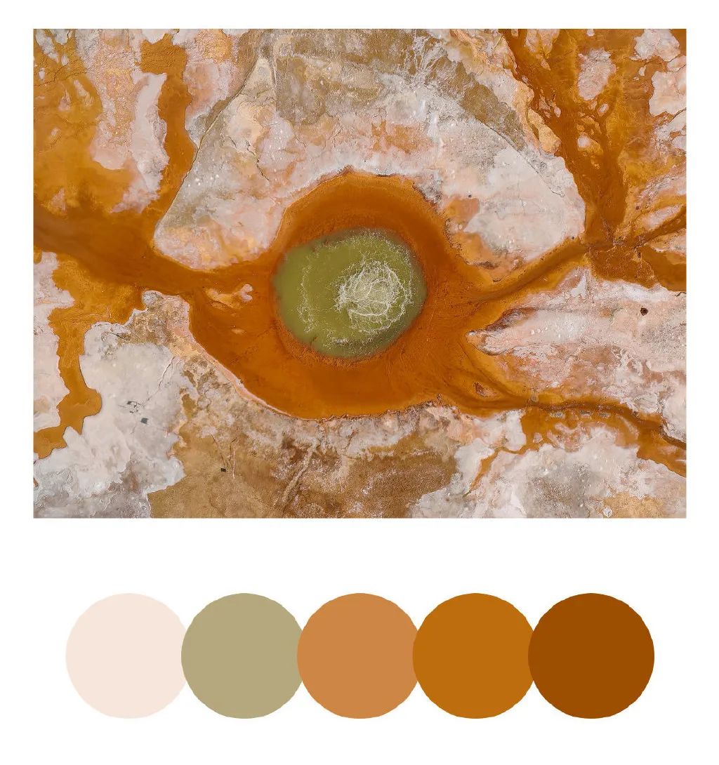 Spring Color Cards - Six Color Schemes From Nature - iNEWS