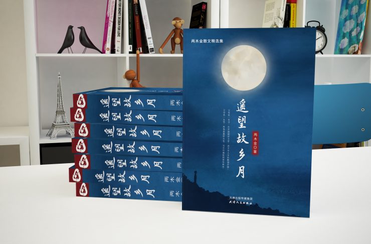 Book Review‖My thoughts on reading "Looking at Hometown Moon" by Mr ...