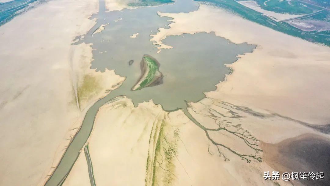 The beautiful Poyang has welcomed the first batch of migratory birds ...