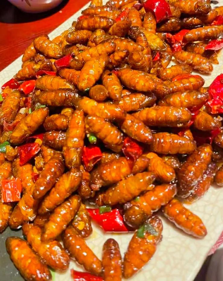 Have you ever eaten the dish "Salt and Pepper Silkworm Chrysalis"? - iNEWS
