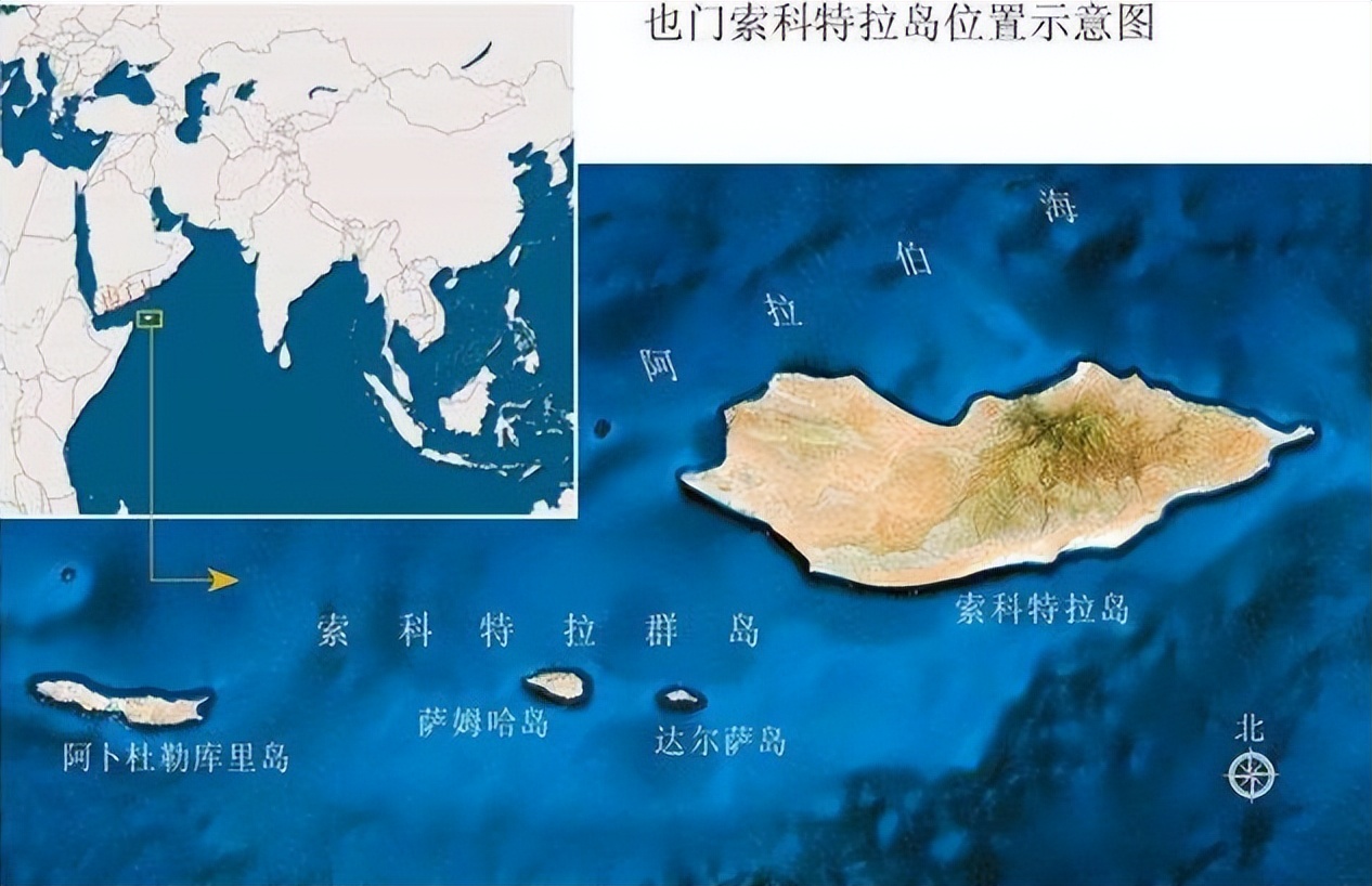 The 5 strangest trees in the world are thought to come from aliens ...