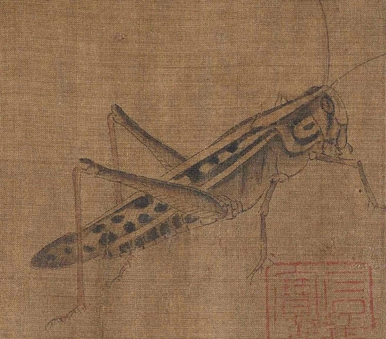 The Five Dynasties Huang Quan's "Sketch of Rare Birds": The beard and ...