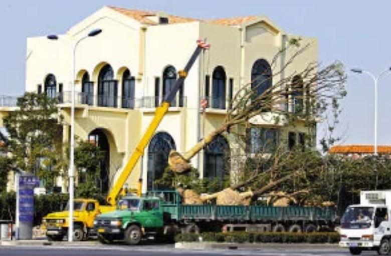 Jet Li's Shanghai palace mansion reveals the secret: Noisy but no ...