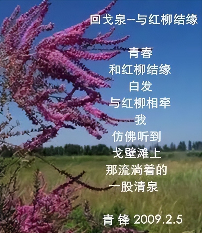 Selected works of Qingfeng's original poems and essays: (148)——(150 ...