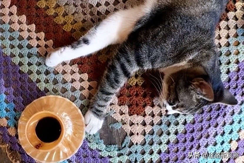 Driving 30,000 kilometers by car, what did Russian programmers gain ...