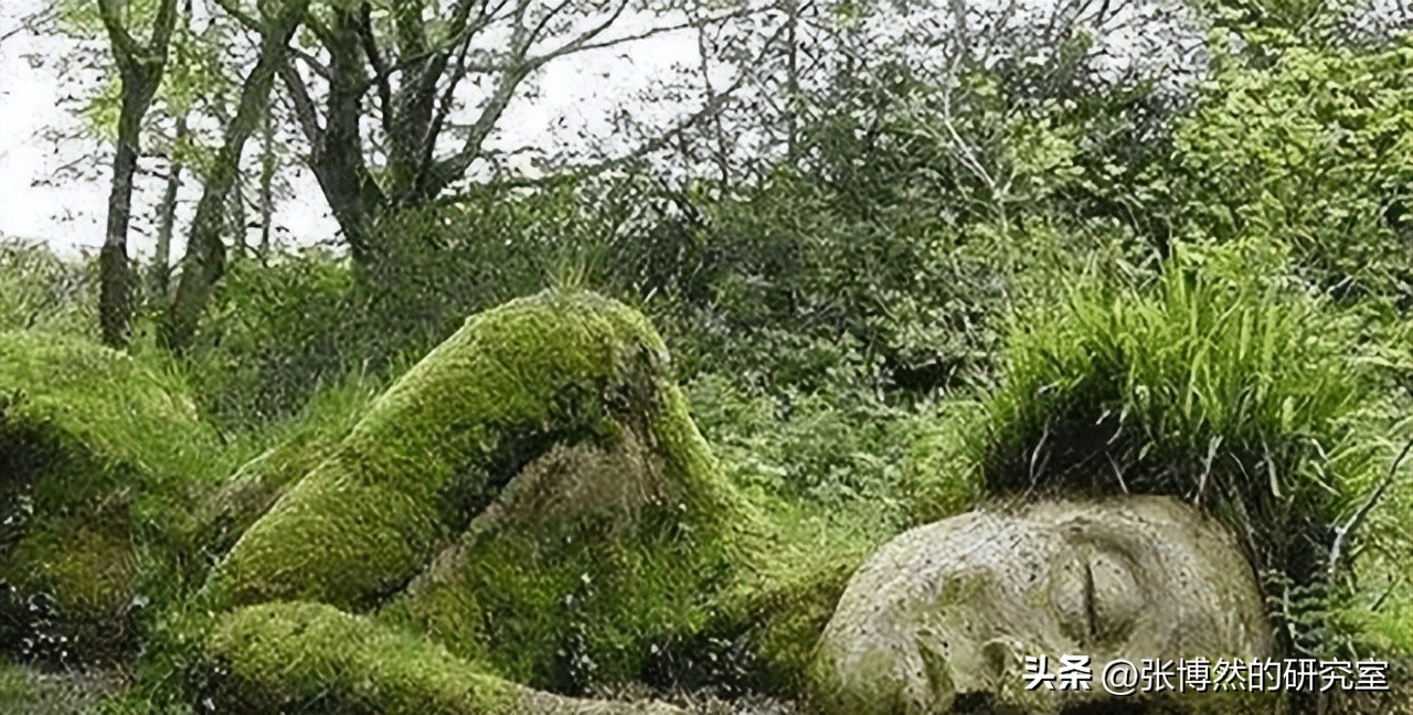 Dialogue and Symbiosis between Nature and Man-made: Blending and ...