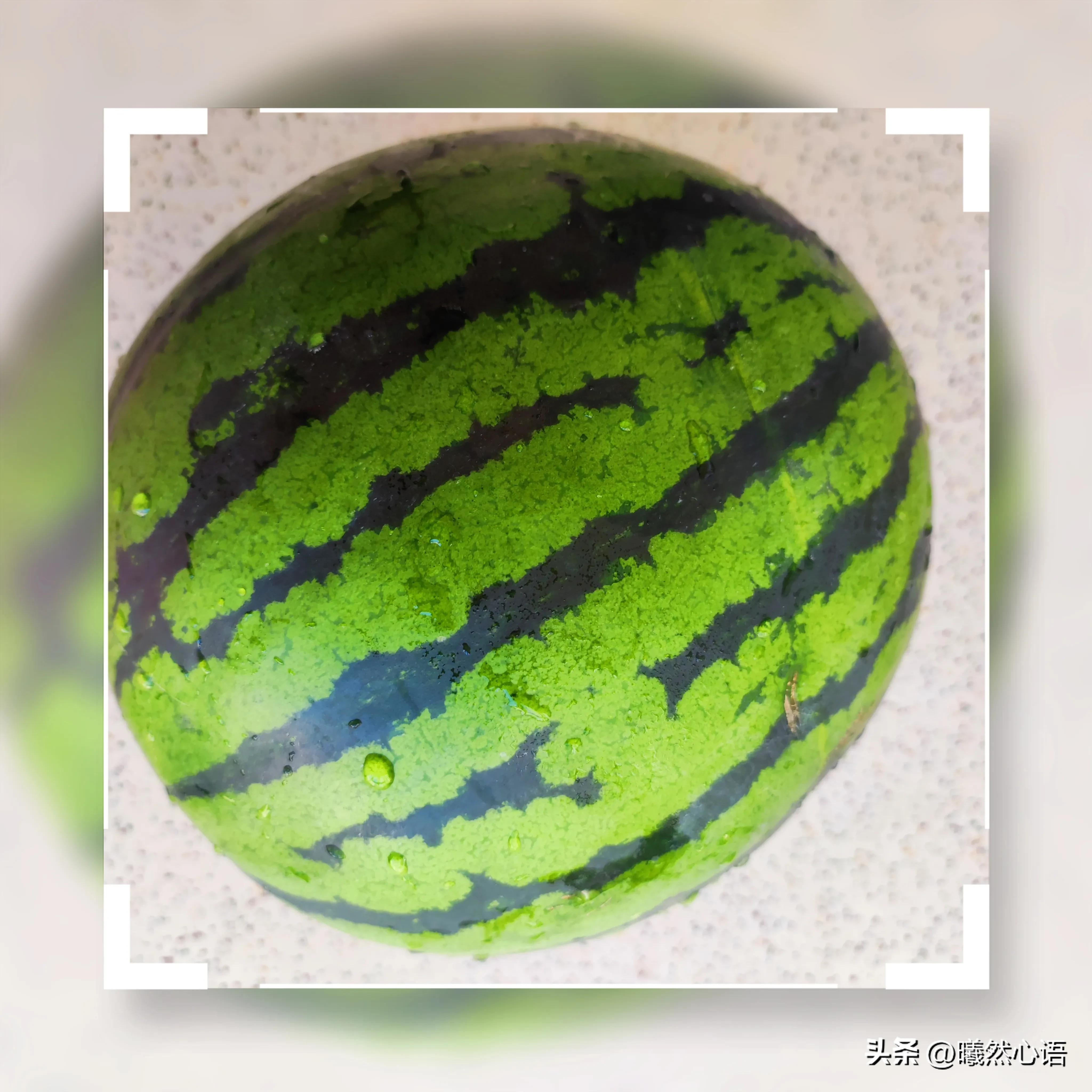Let's eat watermelon while it's hot - iNEWS