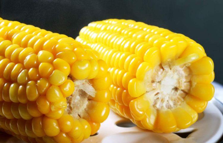 Corn is a hair product of high blood fat? Doctor: If you want to lower ...
