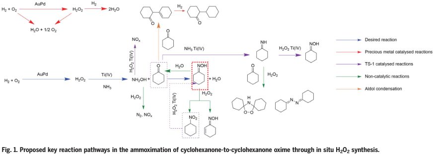 In situ generated H2O2 for efficient catalytic synthesis of oximes from ...