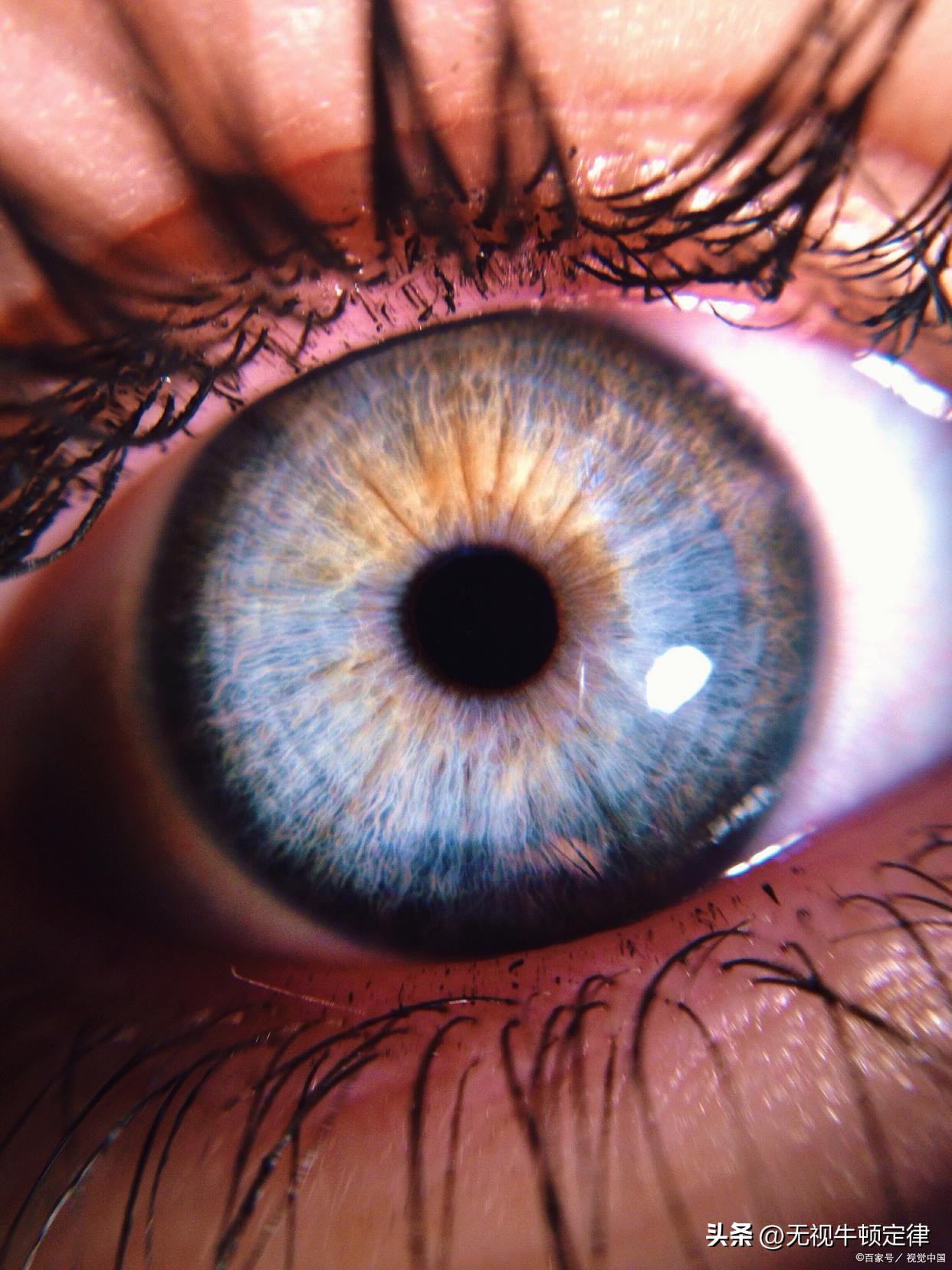 How did your eye color come about? The Mystery of Genes' Inherent ...