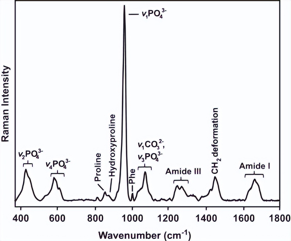 Oriental Flash--Raman Spectroscopy Principle - iNEWS