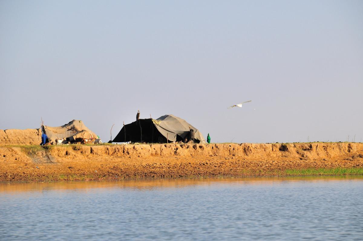 The Political and Cultural Evolution of the Early Kingdoms in the Niger ...