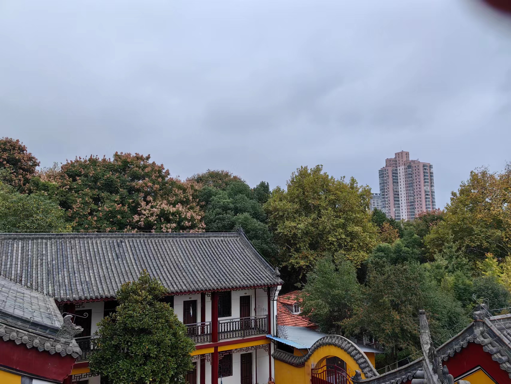 Zen Master Puming's Ten Bull Figures Part Three "Constrained" - iMedia