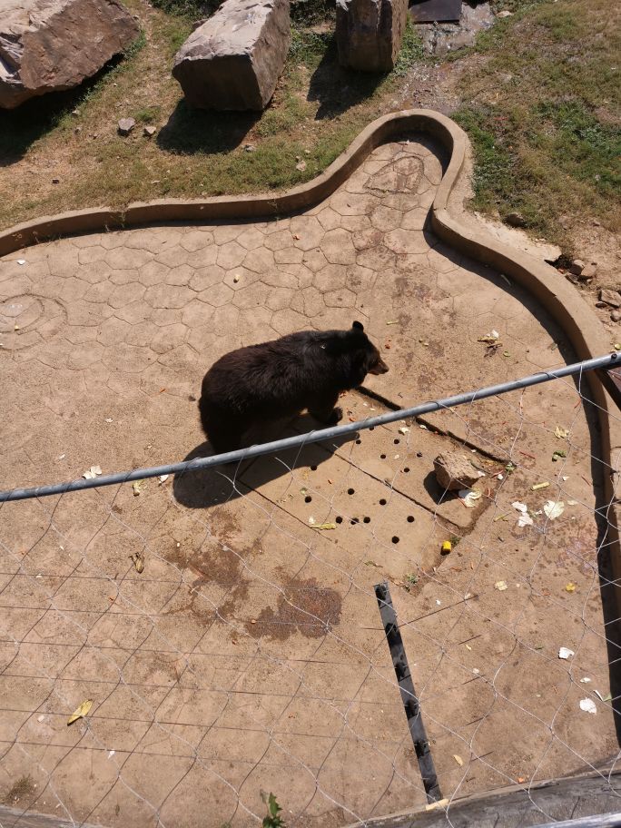 Take you to see the Wuxi Zoo in one minute - iNEWS