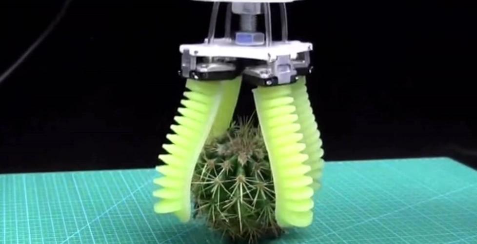 Bionic Design of Soft Mechanisms Using Annular Static, Device and Capturing Capabilities of Soft ...